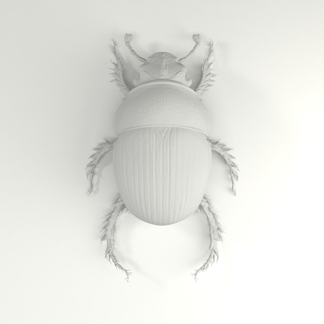 3d Scarab Beetle