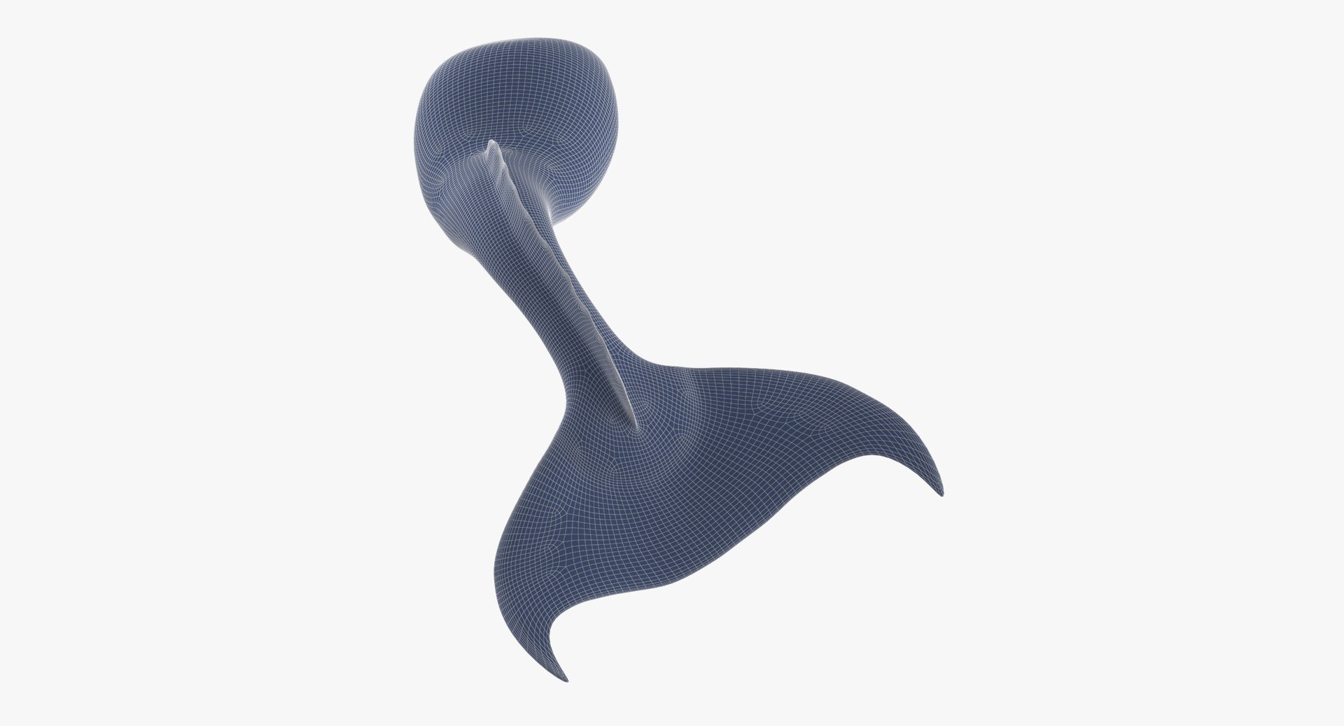 3D mermaid tail 01 straight - TurboSquid 1243371