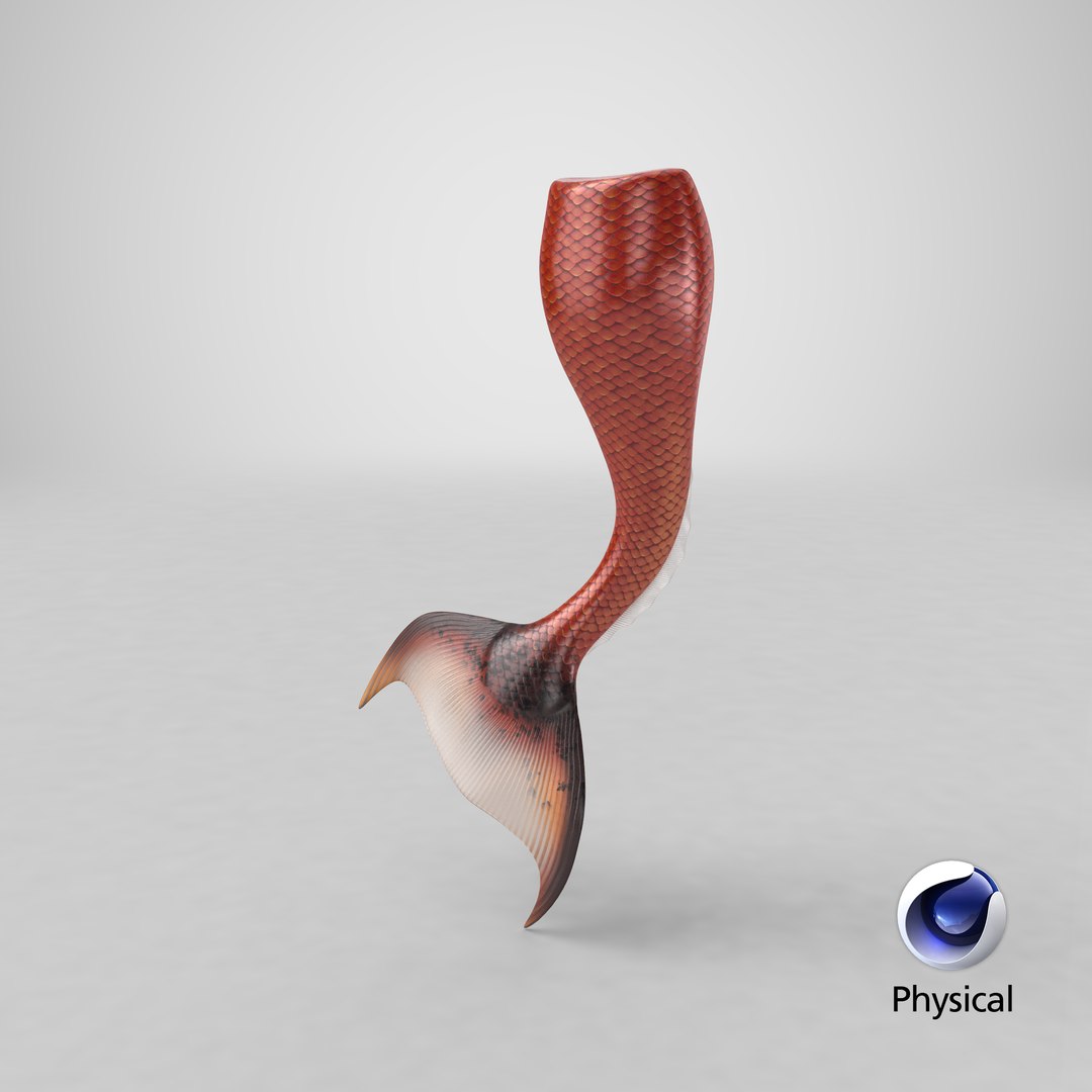 3D mermaid tail 01 straight - TurboSquid 1243371