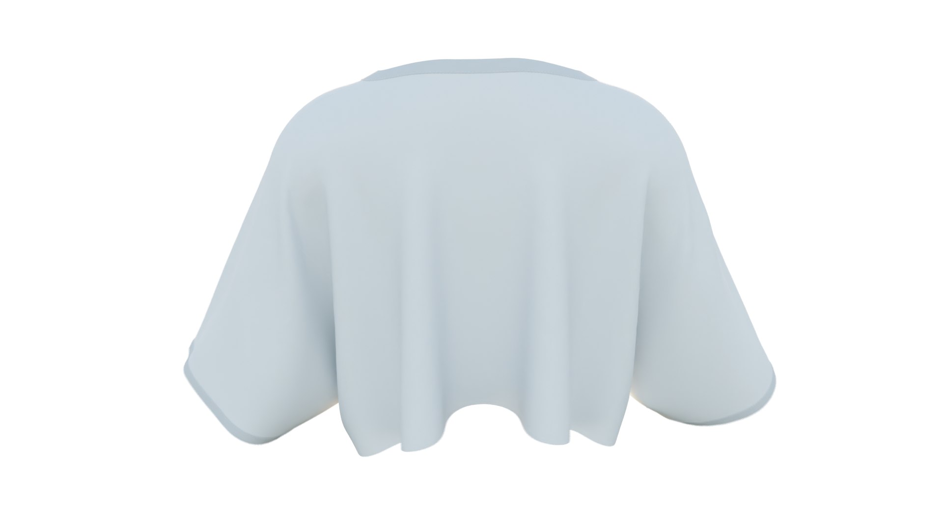 3D High Poly 3D Crop Top Model - TurboSquid 2194570