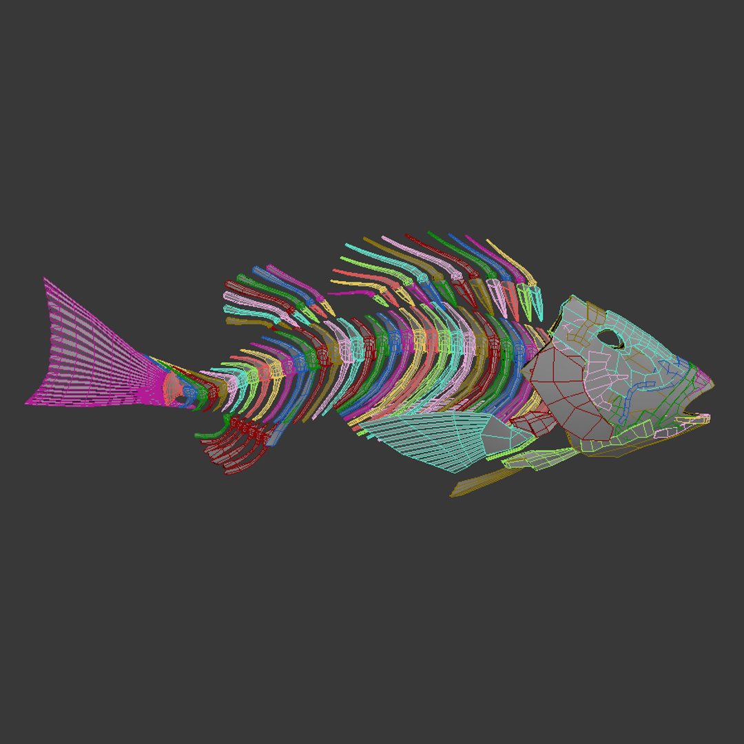 max fish skeleton