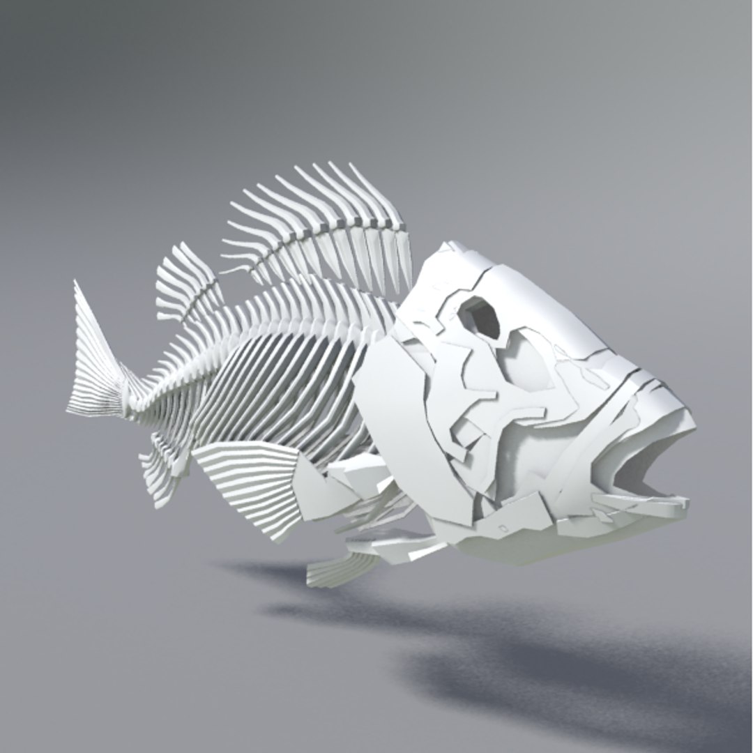 Max Fish Skeleton