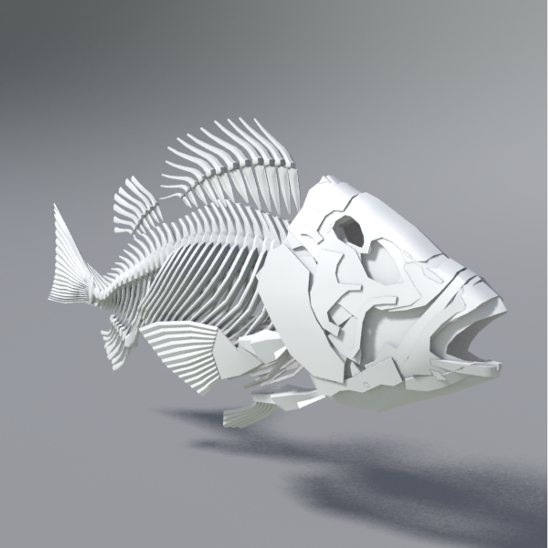 max fish skeleton
