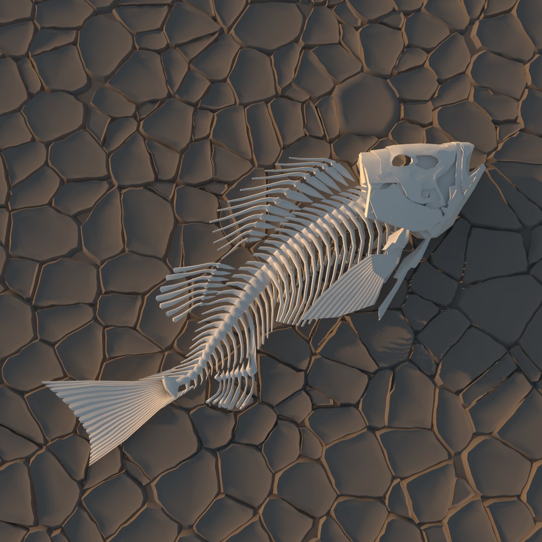 Max Fish Skeleton