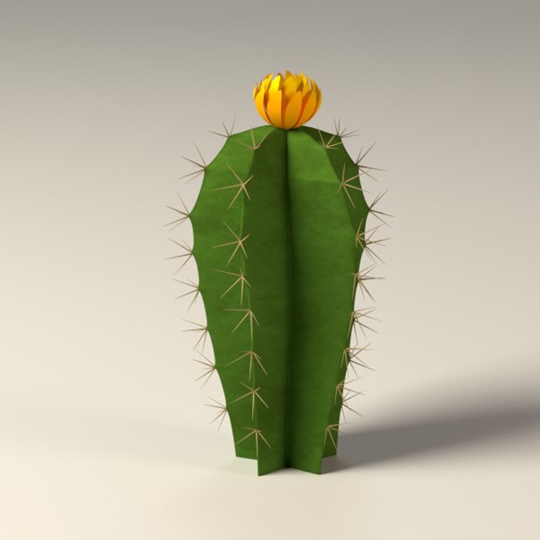 3d Cactus
