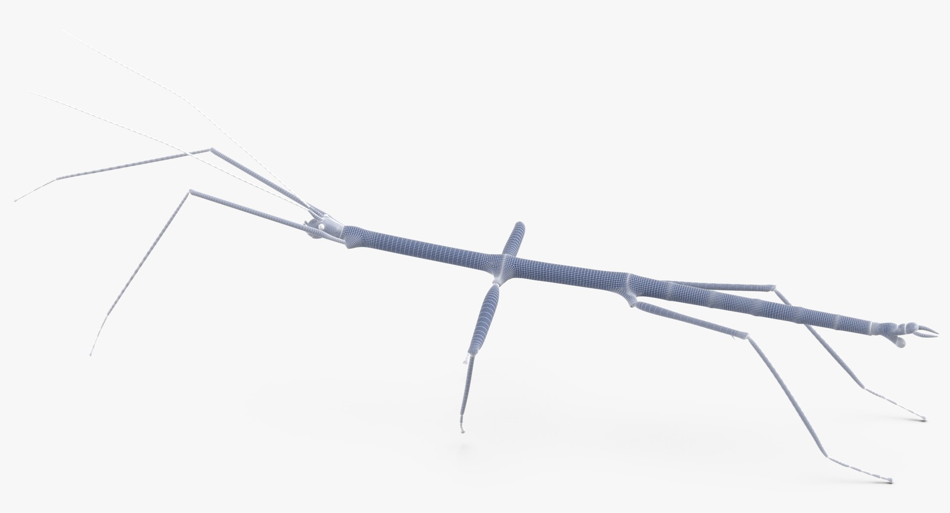 3D walkingstick poses walking model - TurboSquid 1399500