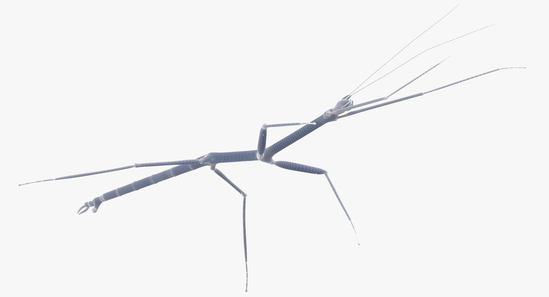 3D walkingstick poses walking model - TurboSquid 1399500