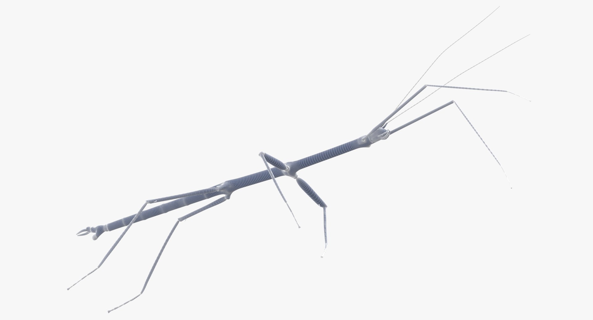 3D walkingstick poses walking model - TurboSquid 1399500