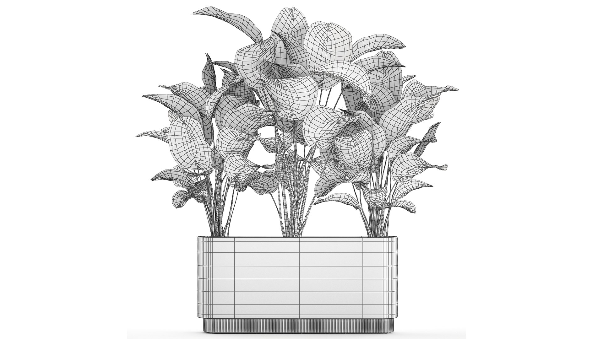 3D model Beautiful Plant Bush Calathea Lutea Flowerpot 1309 ...