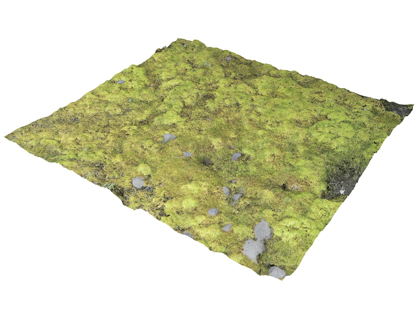 Iceland Ground 3D Model - TurboSquid 1707040