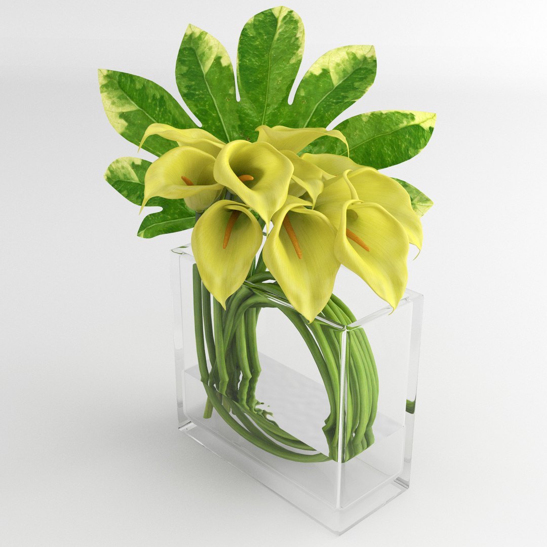 3d Calla Lily Flower Model