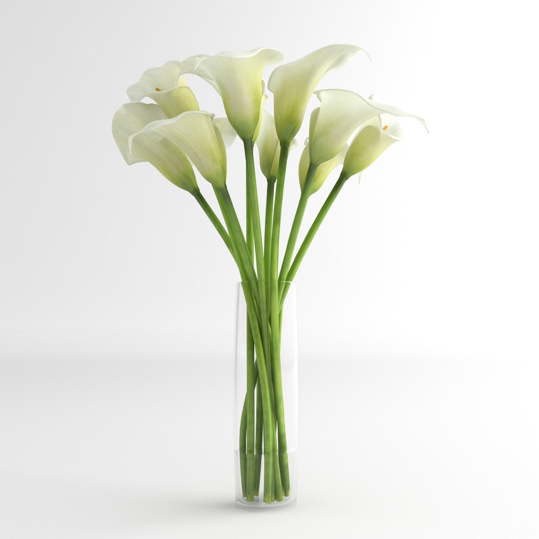3d Calla Lily Flower Model