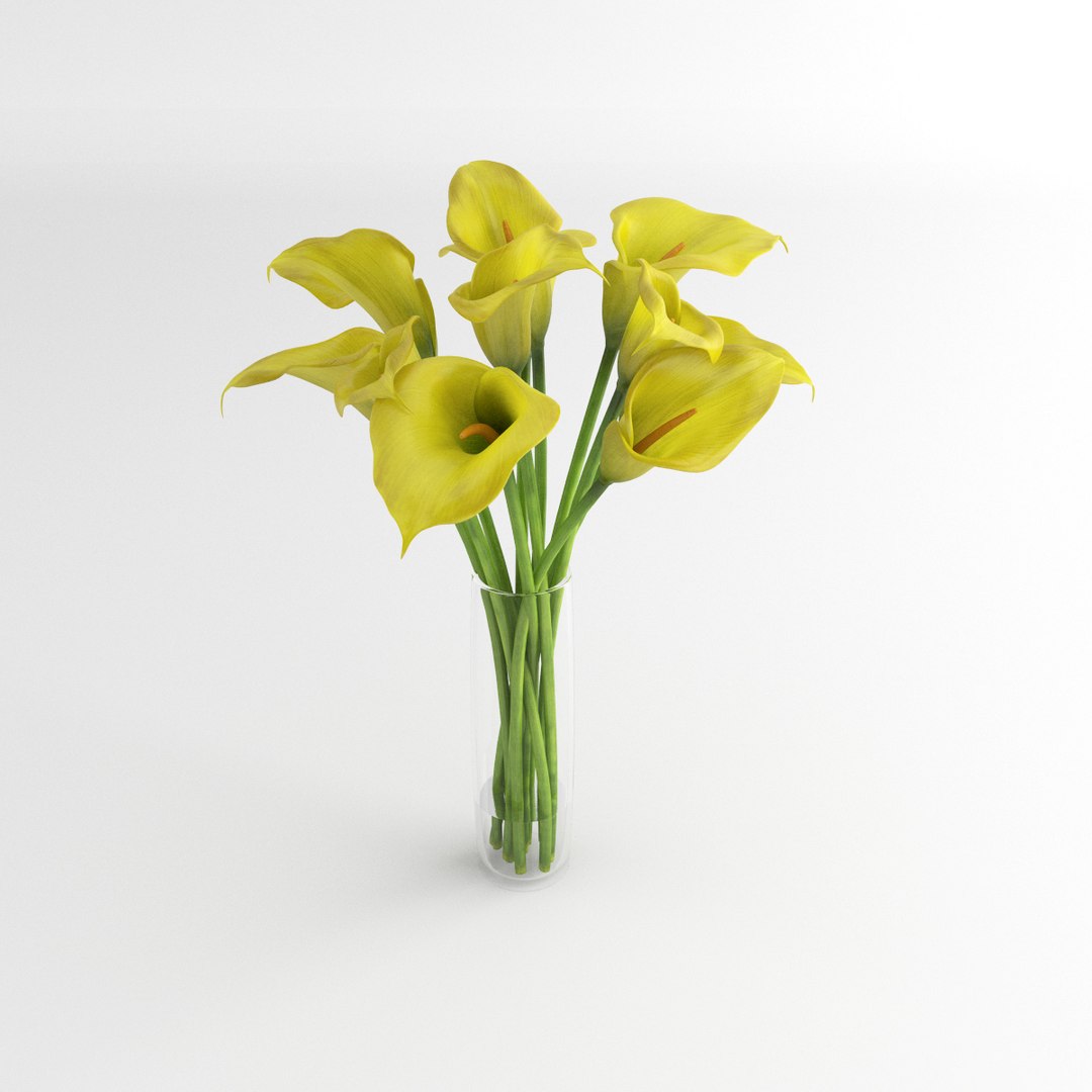 3d Calla Lily Flower Model