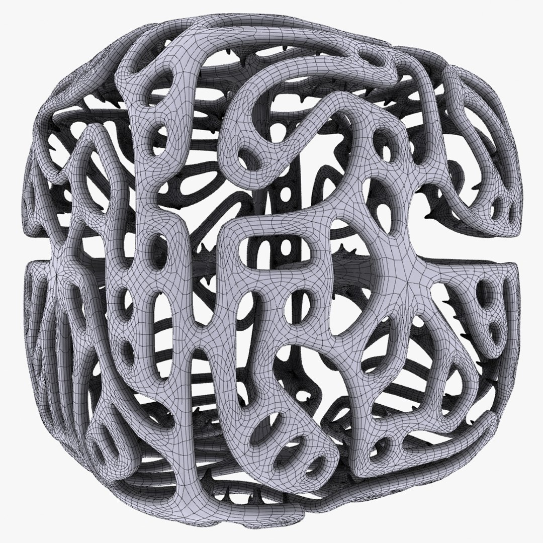 3d Complex Shape Model