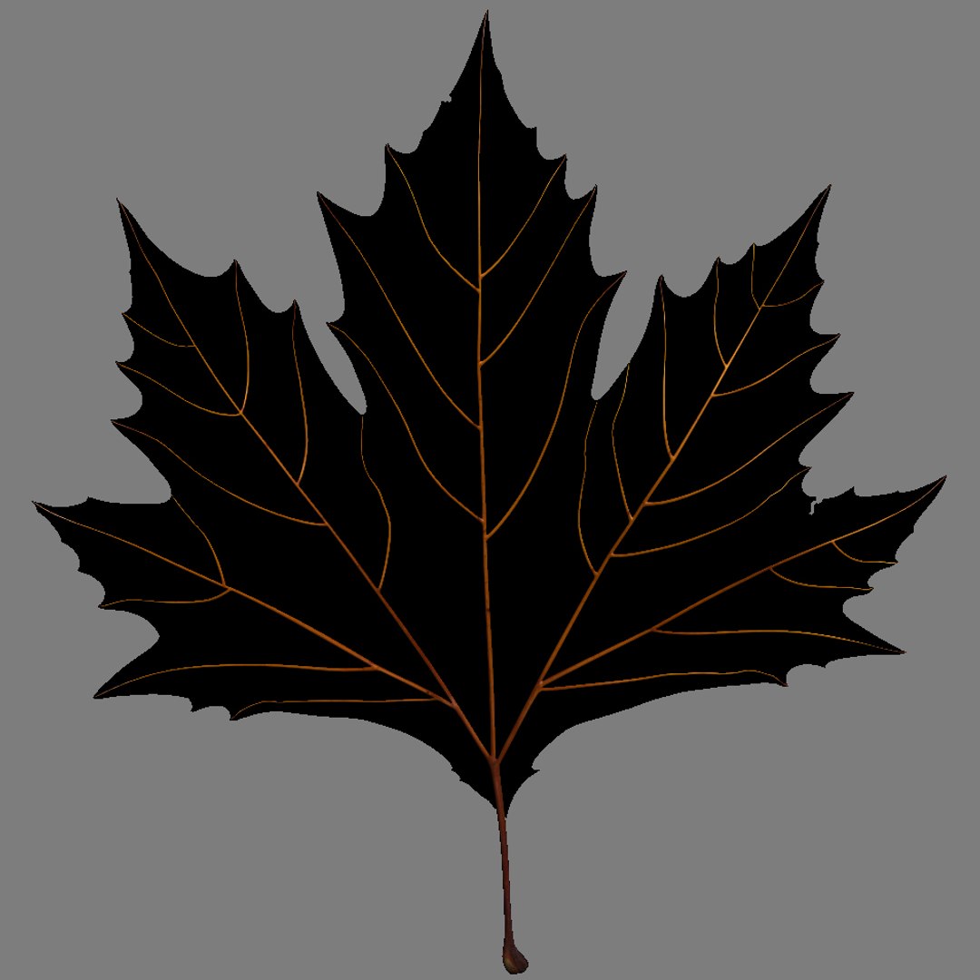 leaves maple leaf obj