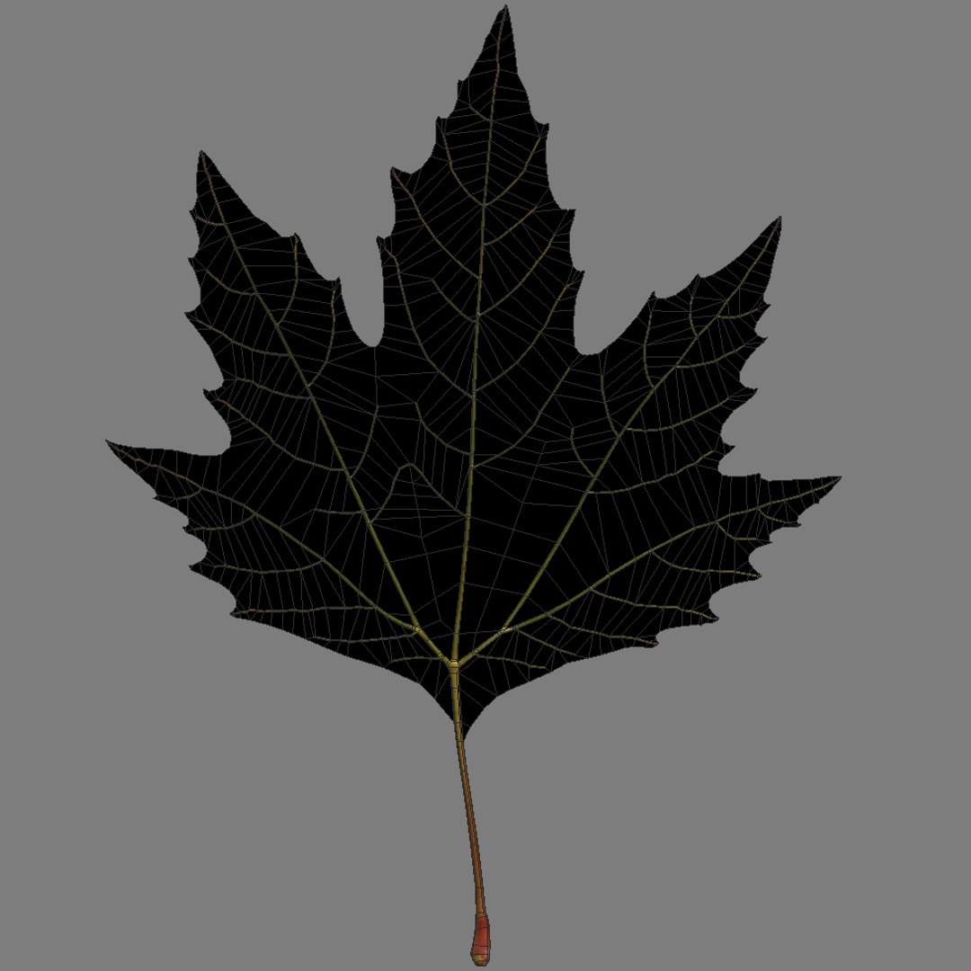leaves maple leaf obj