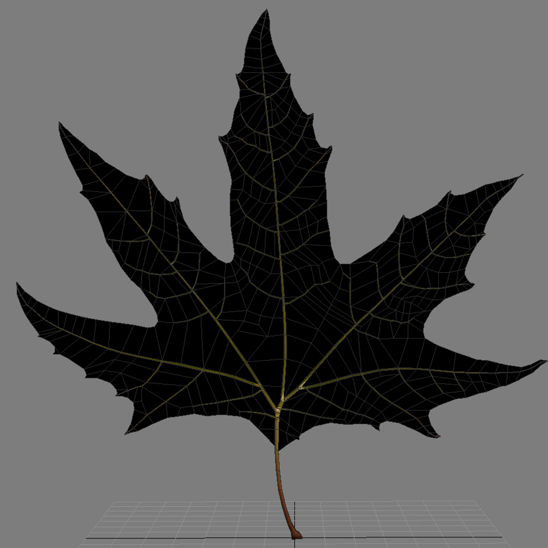 leaves maple leaf obj