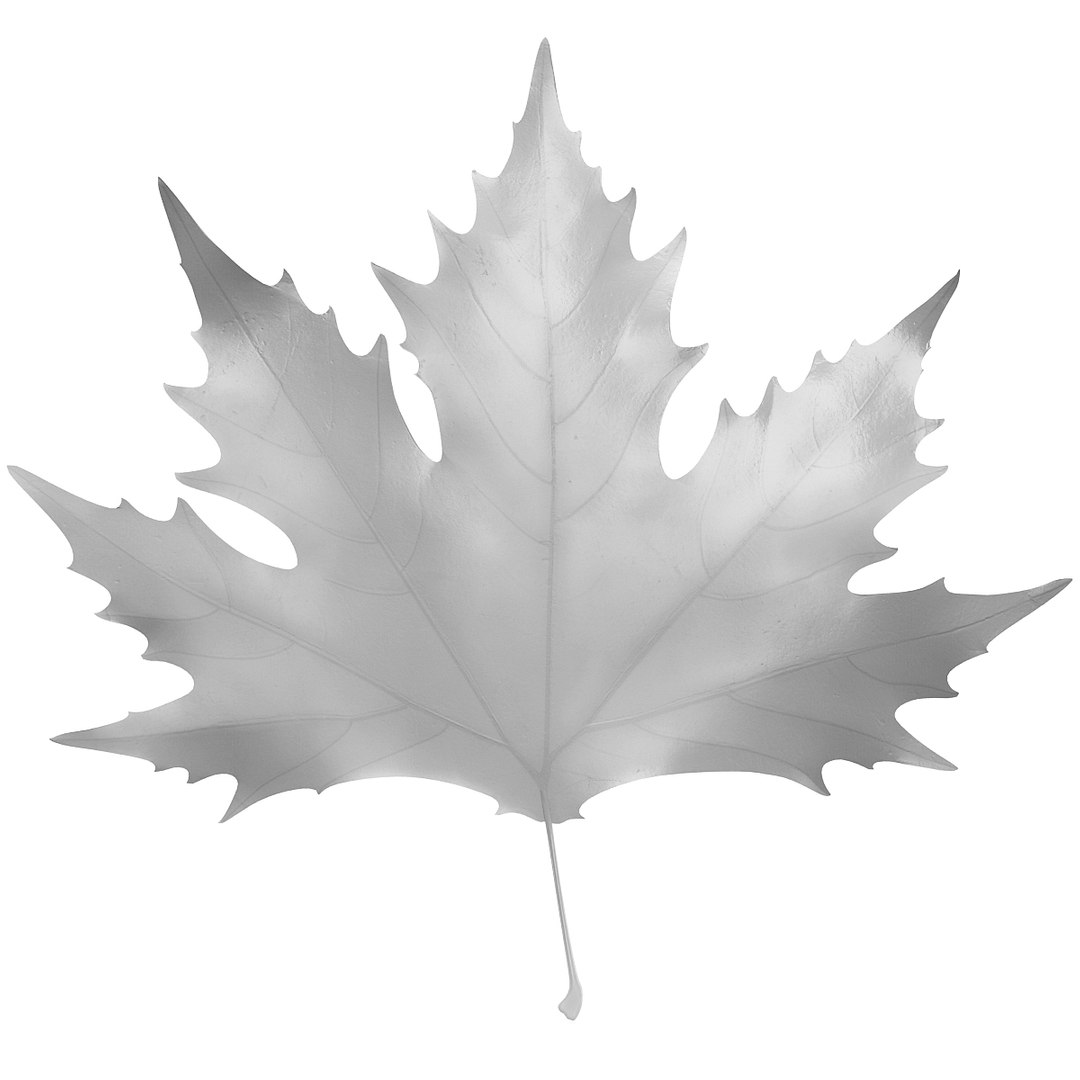 leaves maple leaf obj