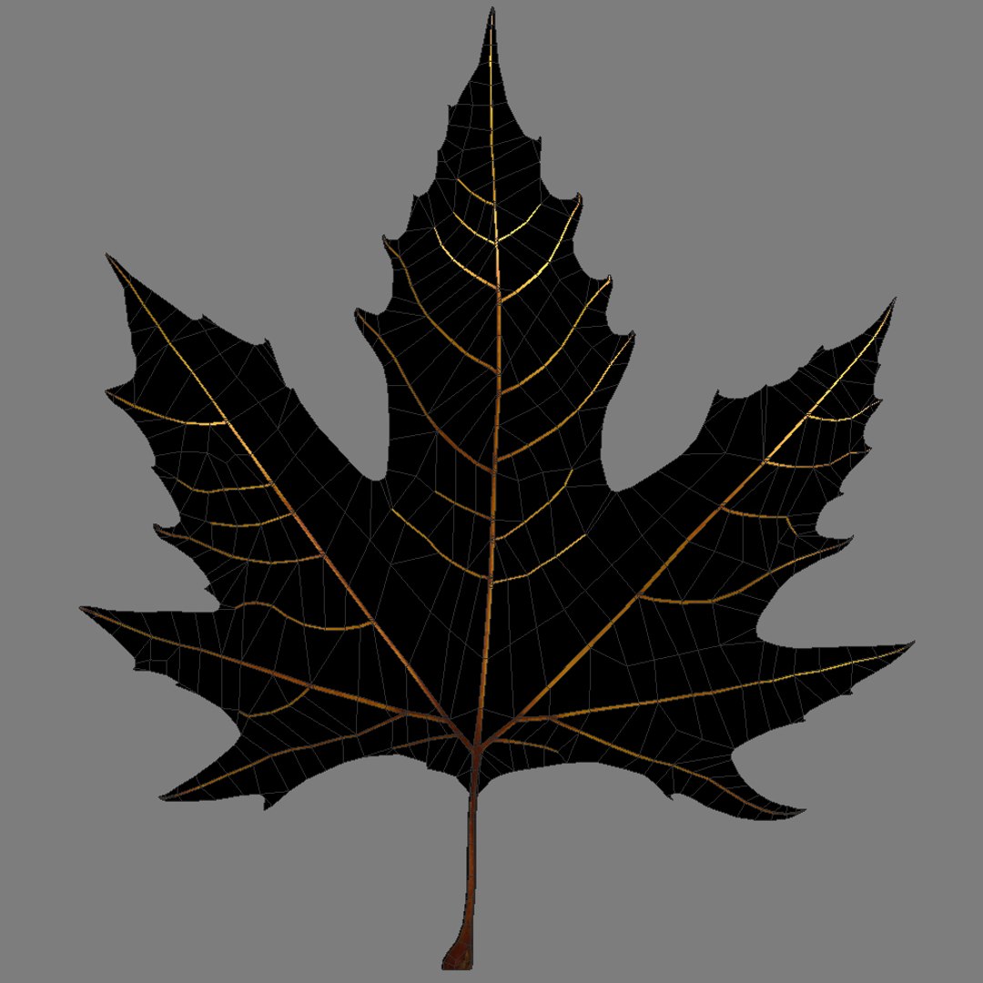 leaves maple leaf obj