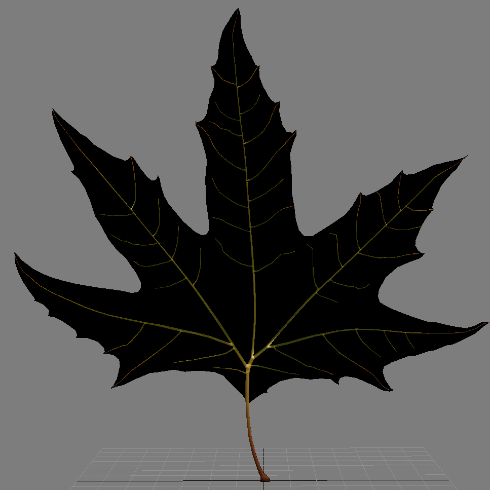 leaves maple leaf obj