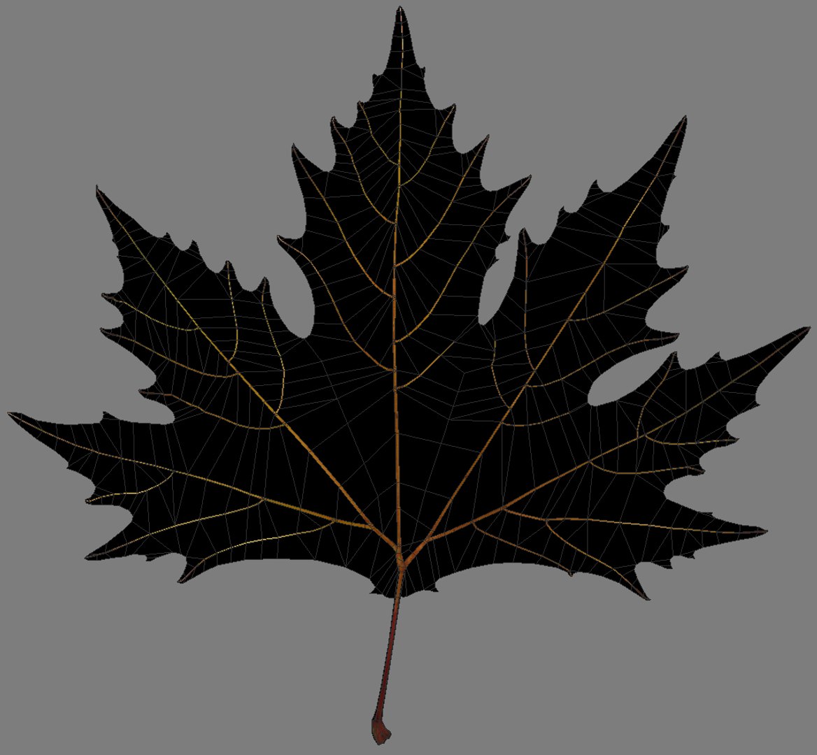 leaves maple leaf obj