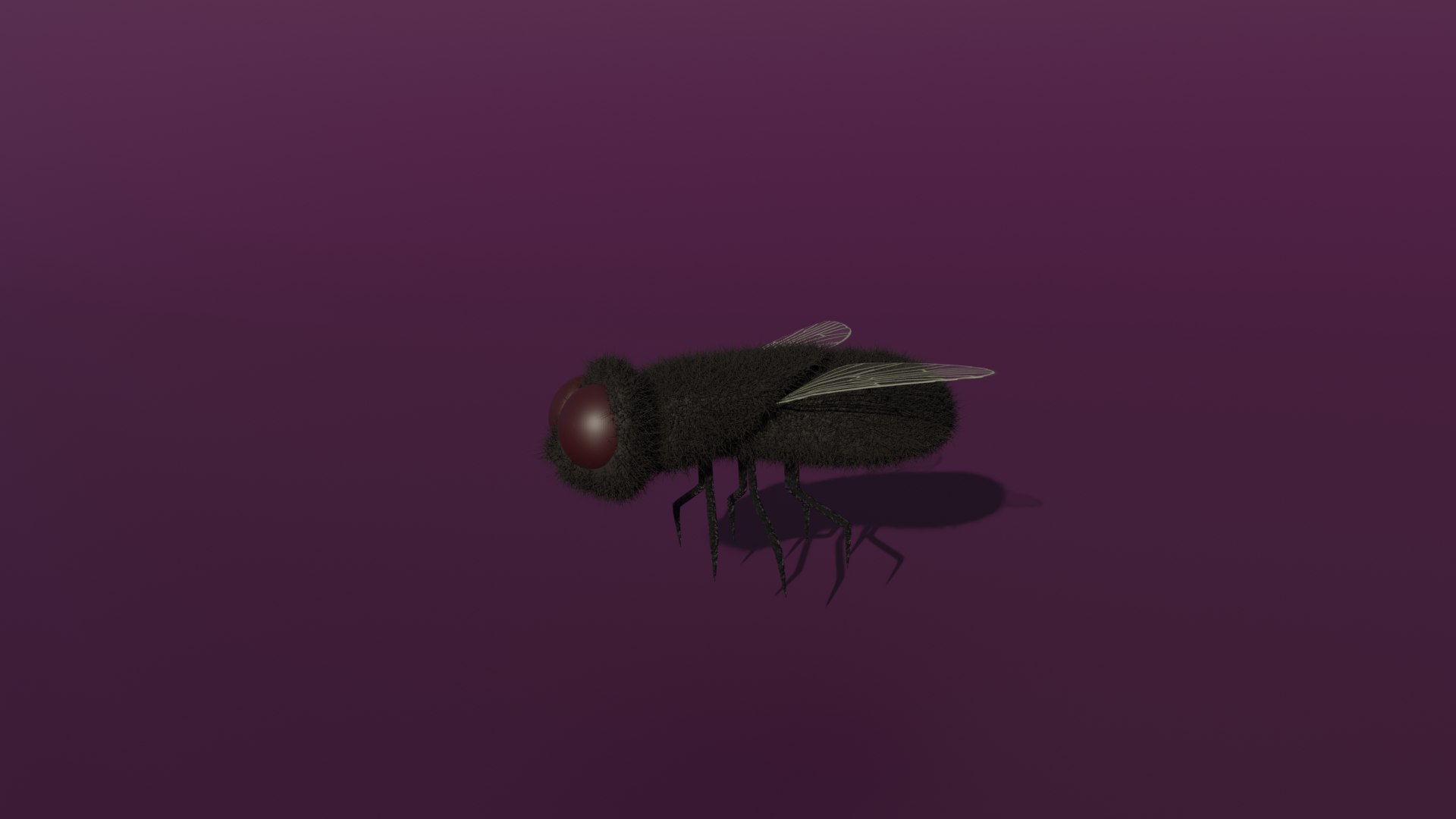 3D A Rigged Fly - TurboSquid 1783159