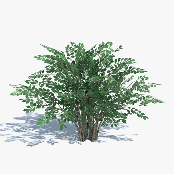 small tree 3d model