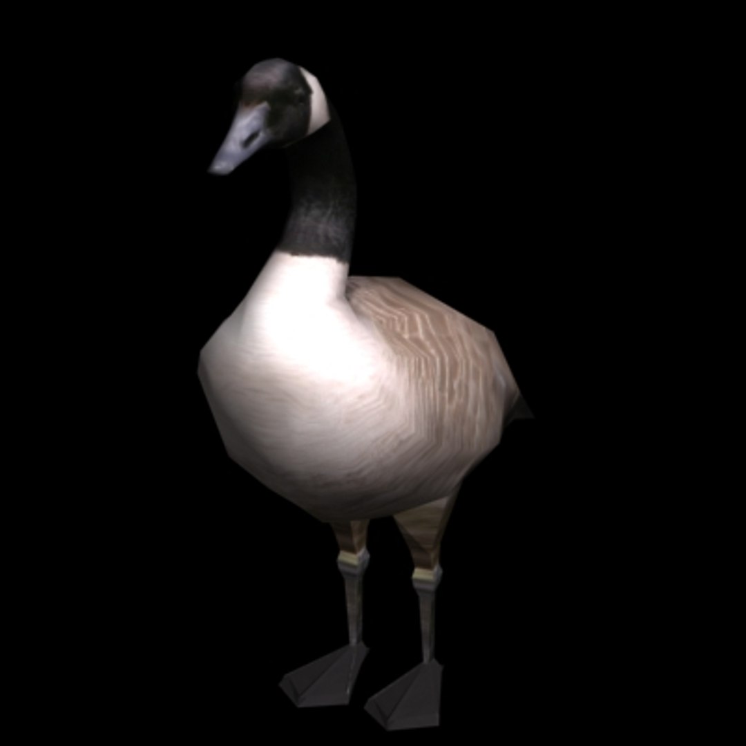 Canadian Goose 3d Max