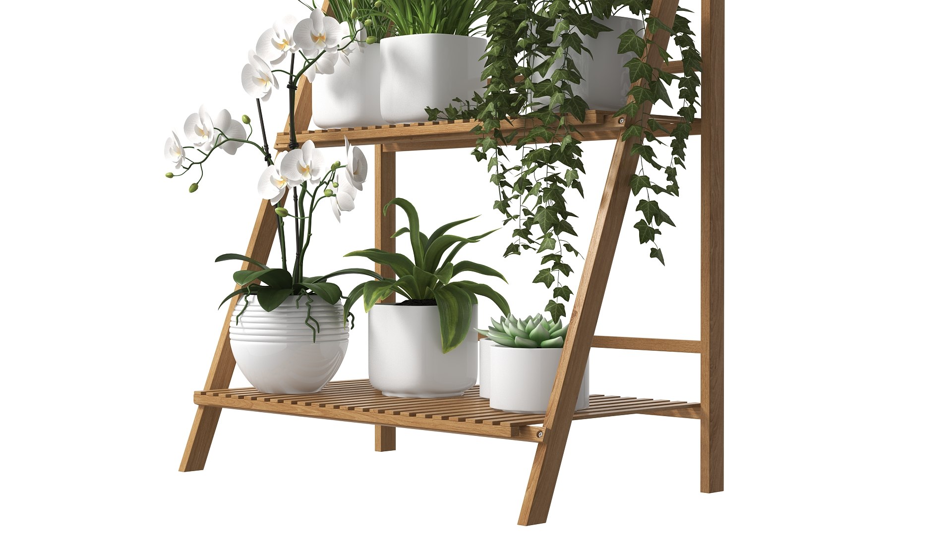 3D Model Flowers Rack - TurboSquid 1640763