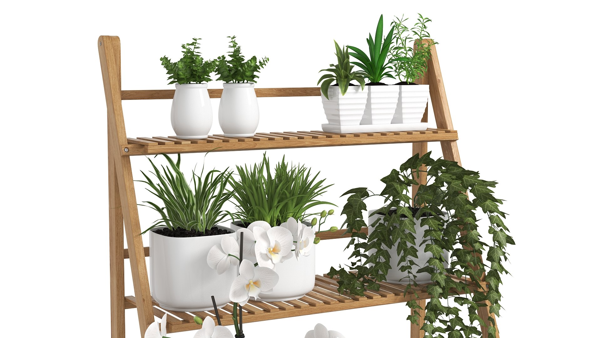 3D Model Flowers Rack - TurboSquid 1640763