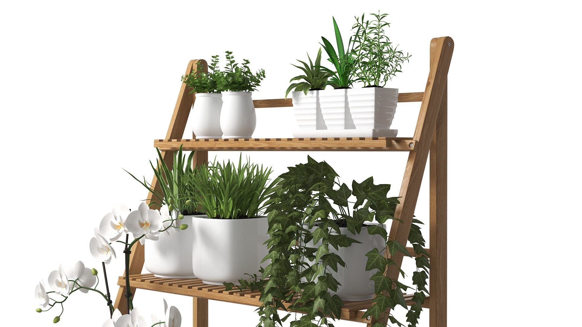 3D Model Flowers Rack - TurboSquid 1640763