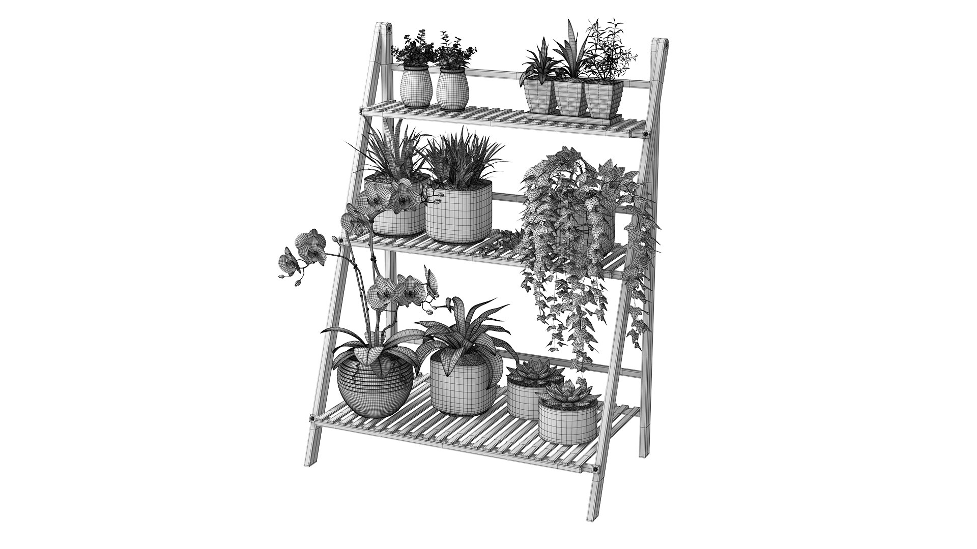 3D Model Flowers Rack - TurboSquid 1640763