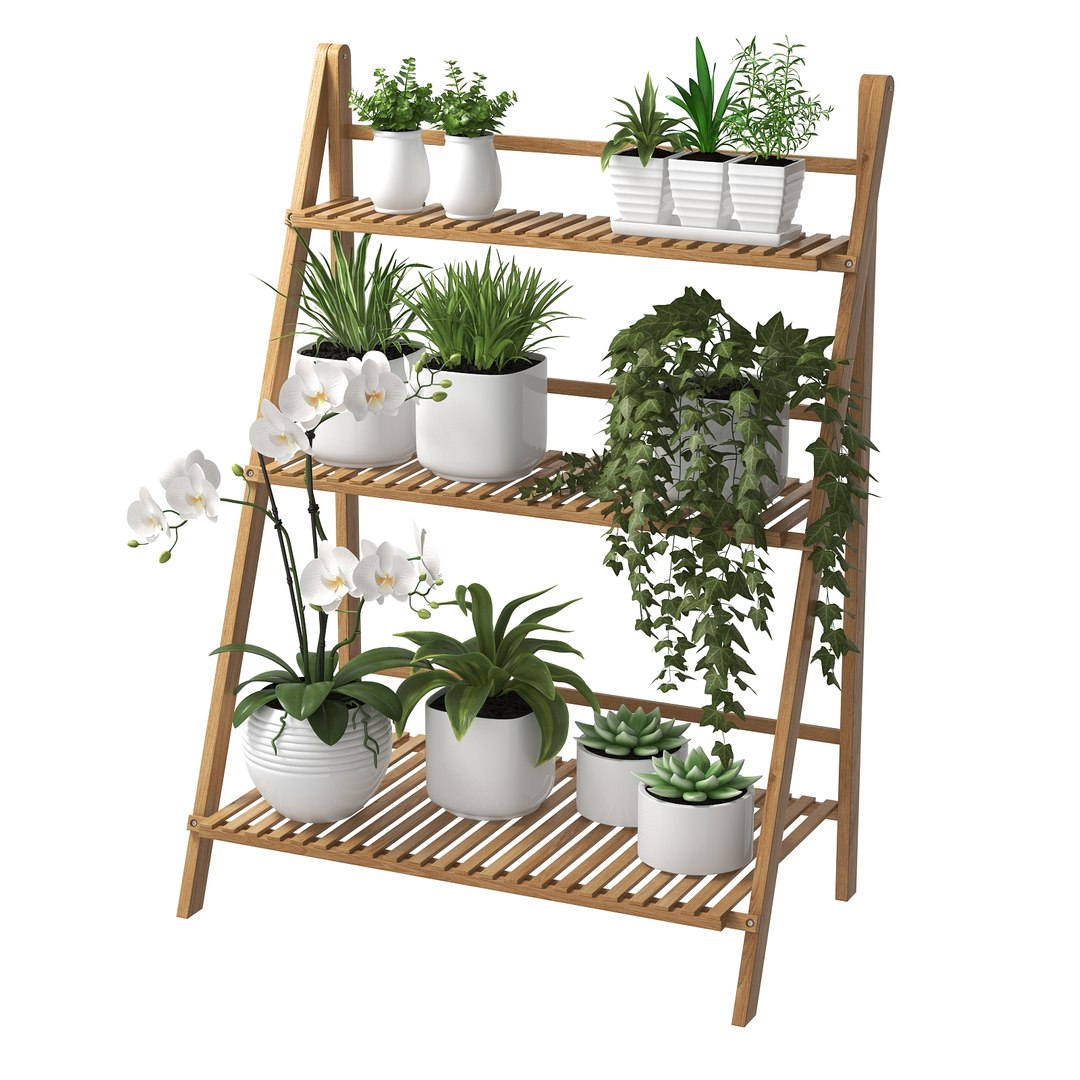3D Model Flowers Rack - TurboSquid 1640763