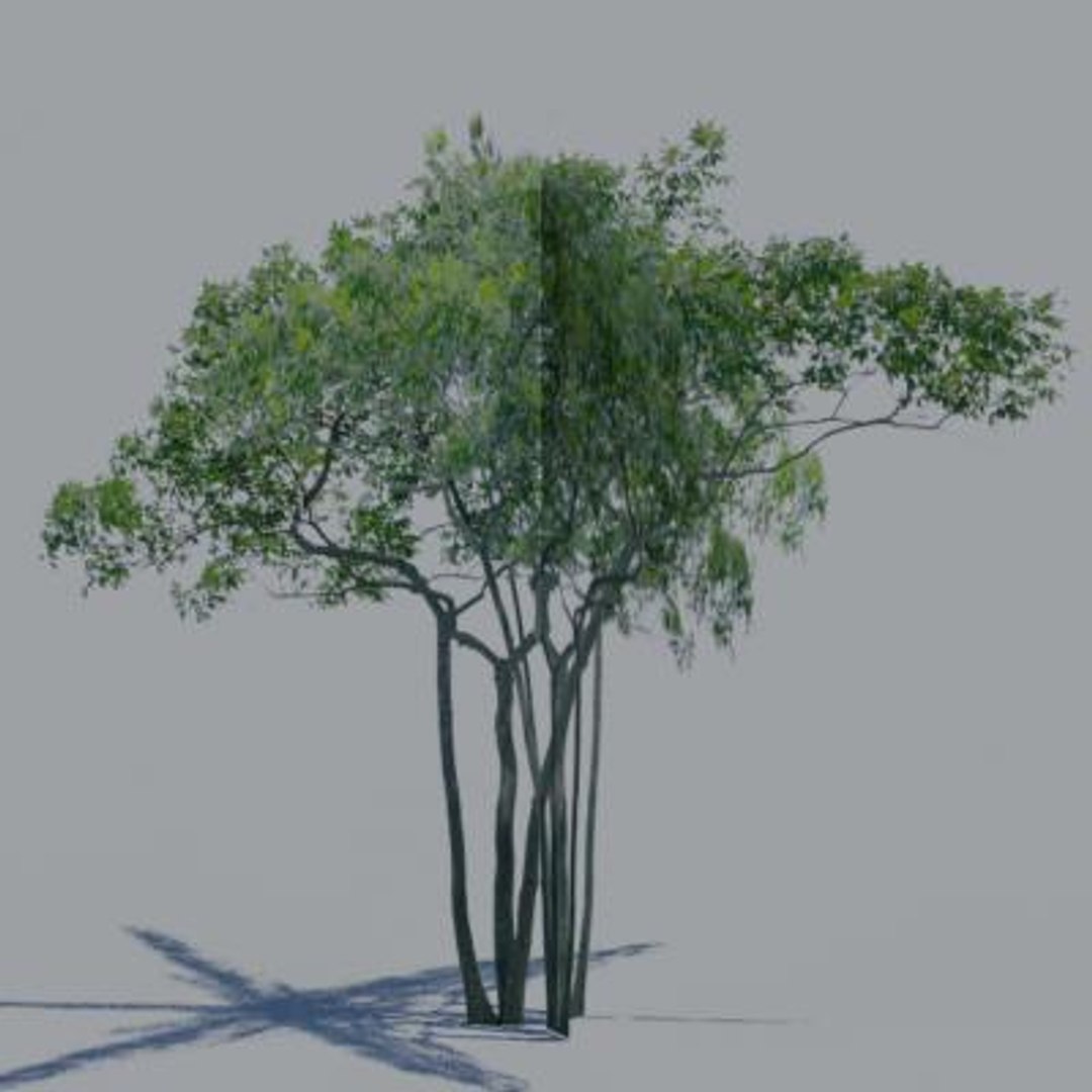 trees 3d model