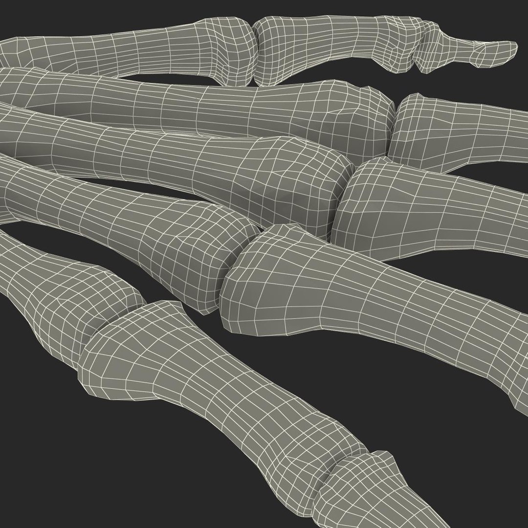 Skeleton Hand 3d 3ds