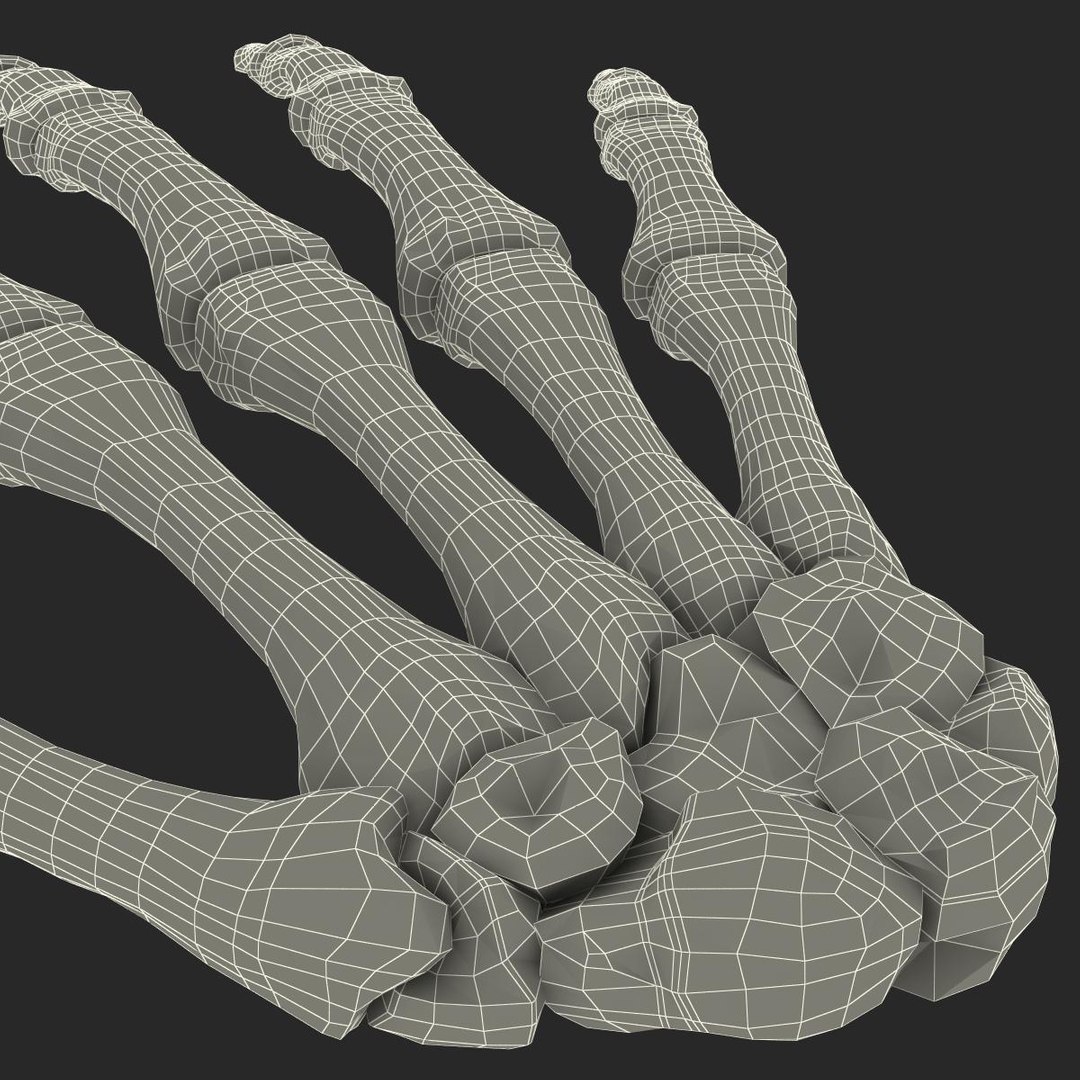 Skeleton Hand 3d 3ds