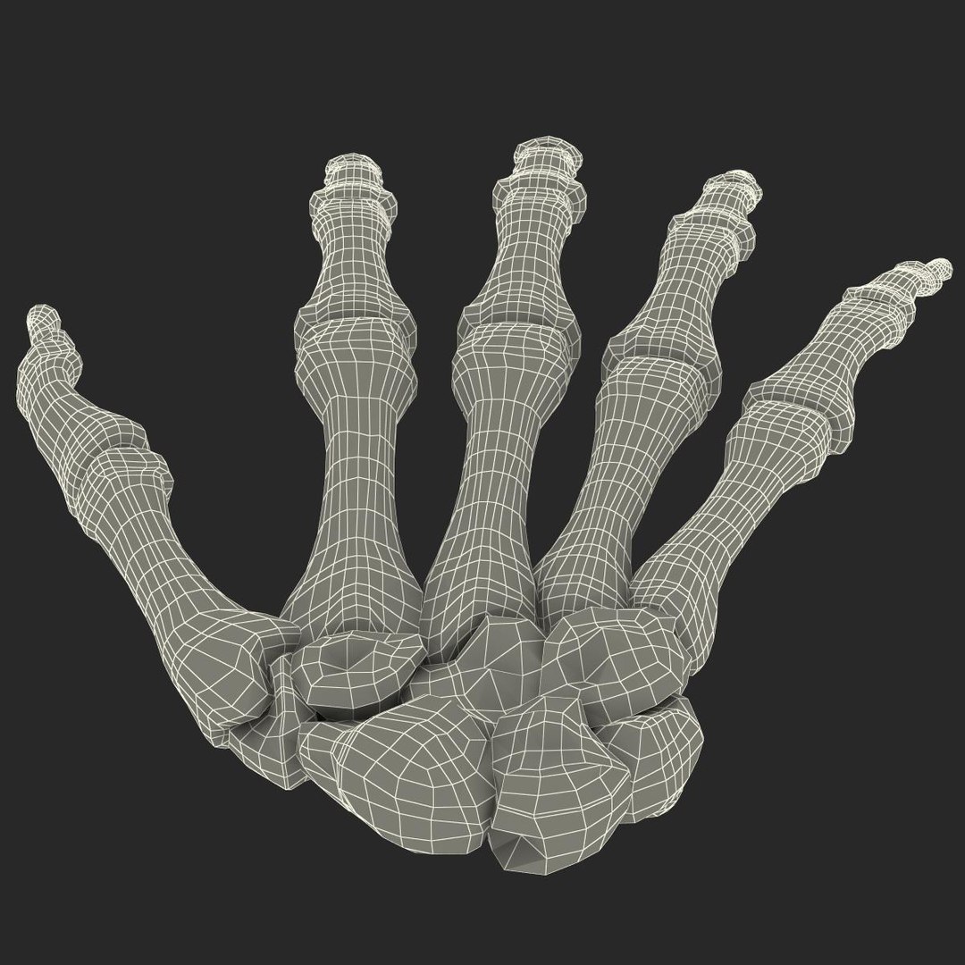 Skeleton Hand 3d 3ds