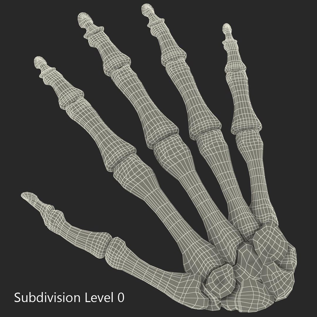 skeleton hand 3d 3ds