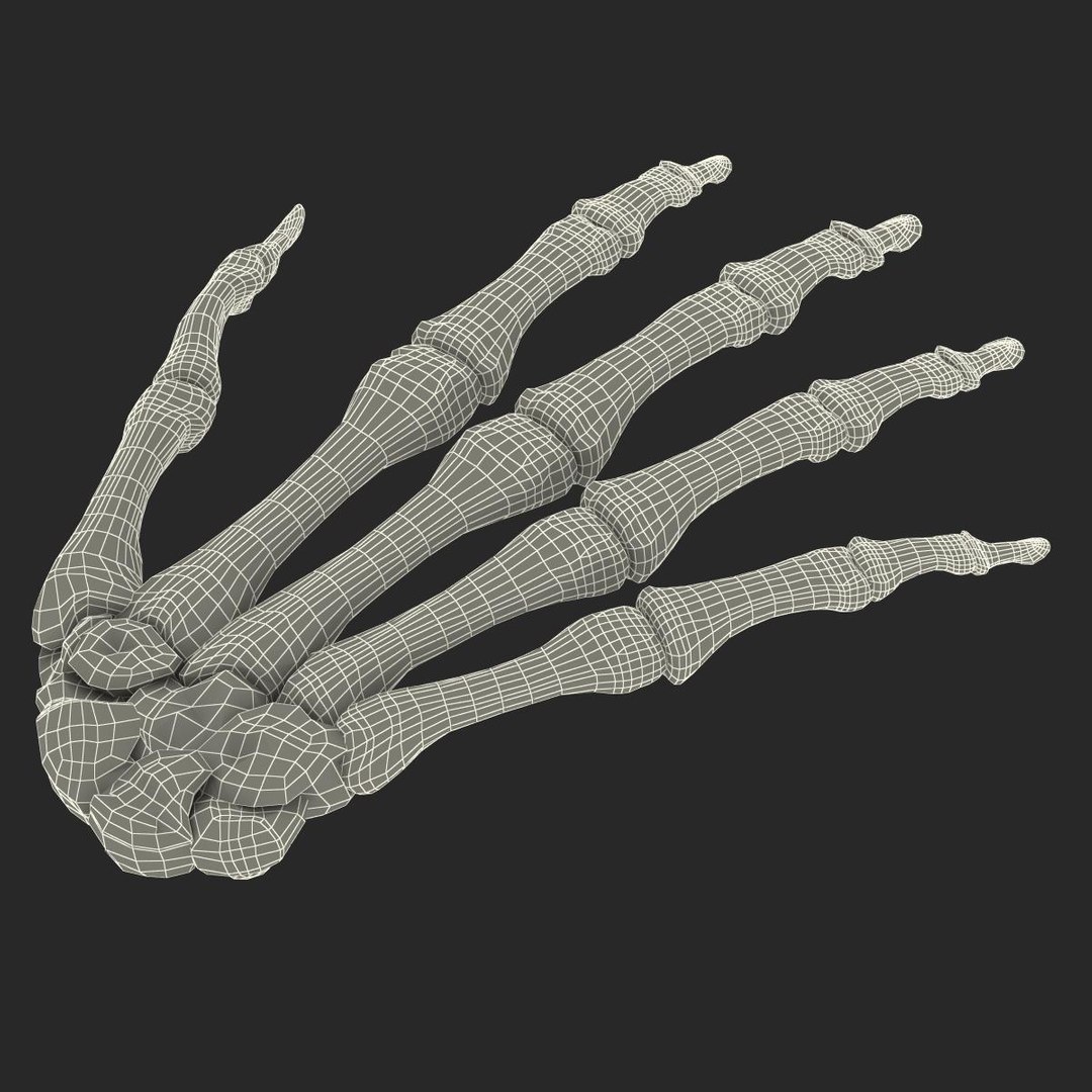 Skeleton Hand 3d 3ds