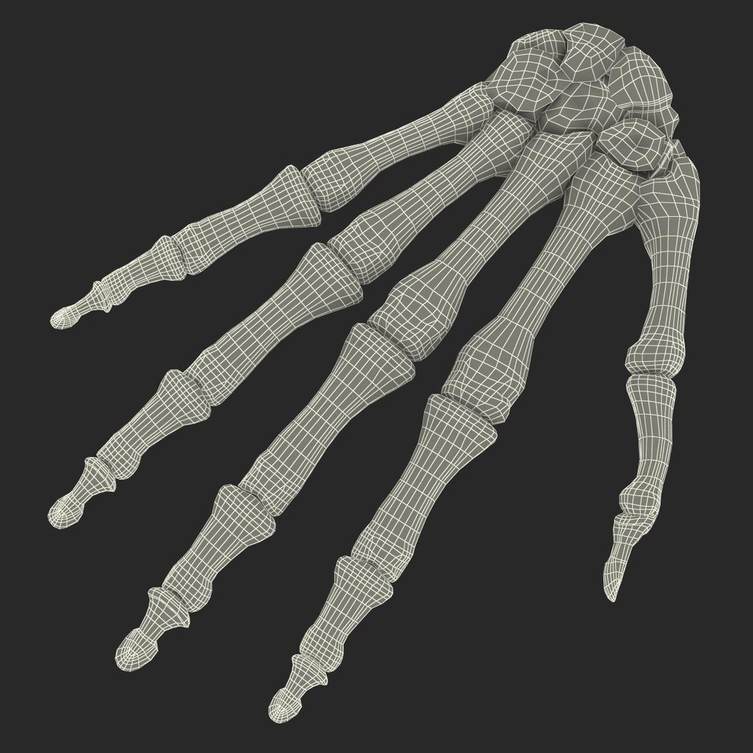Skeleton Hand 3d 3ds