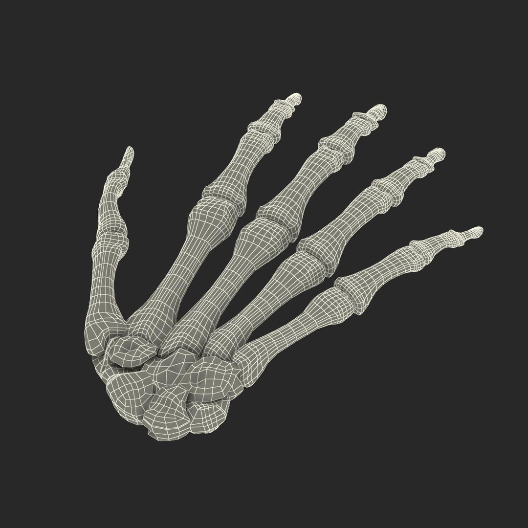 Skeleton Hand 3d 3ds