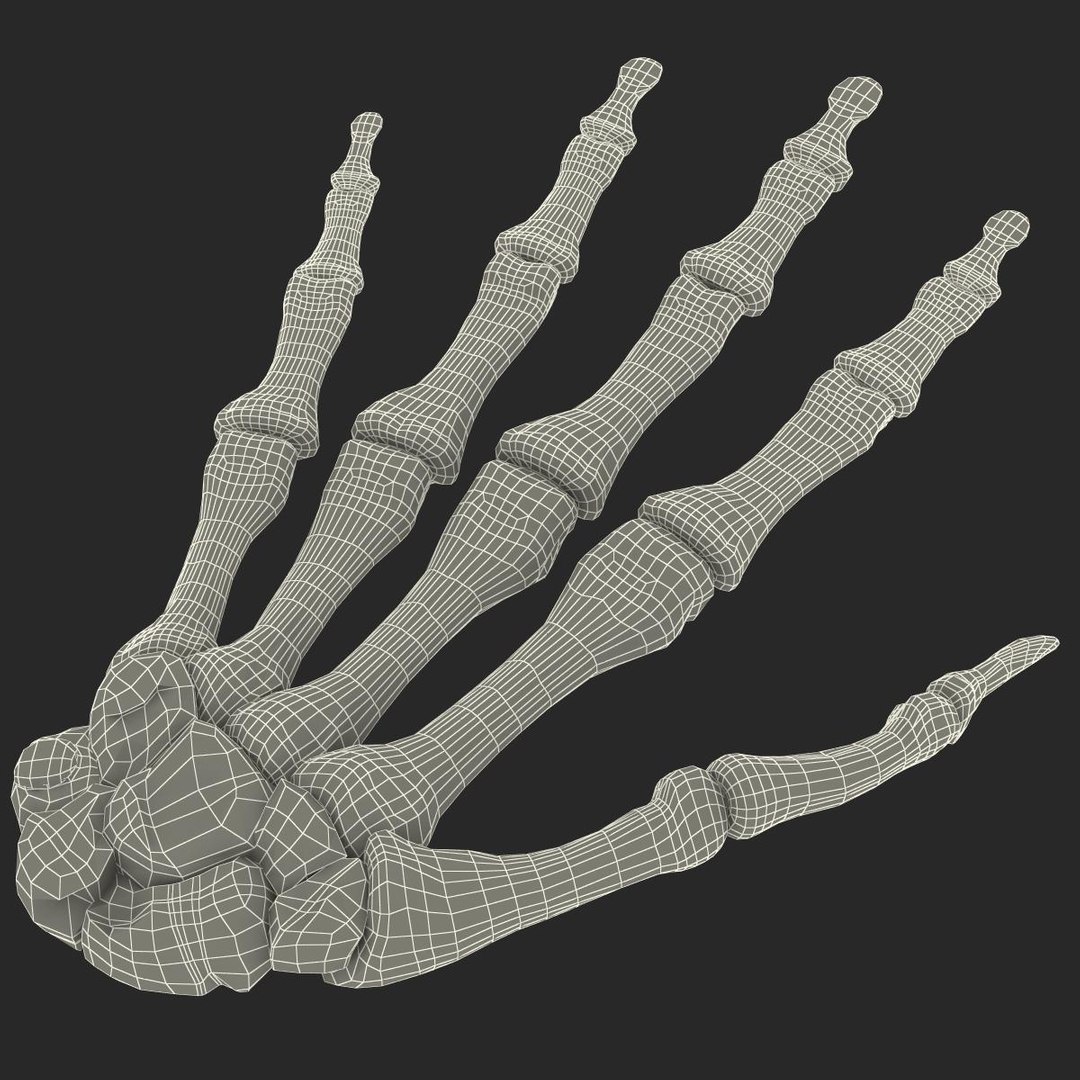 Skeleton Hand 3d 3ds
