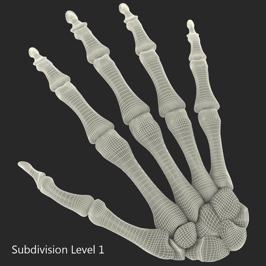 skeleton hand 3d 3ds