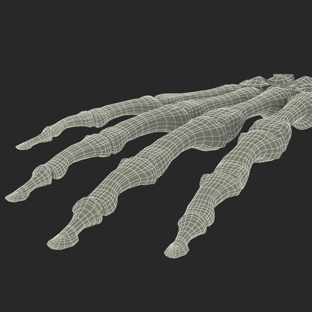 Skeleton Hand 3d 3ds