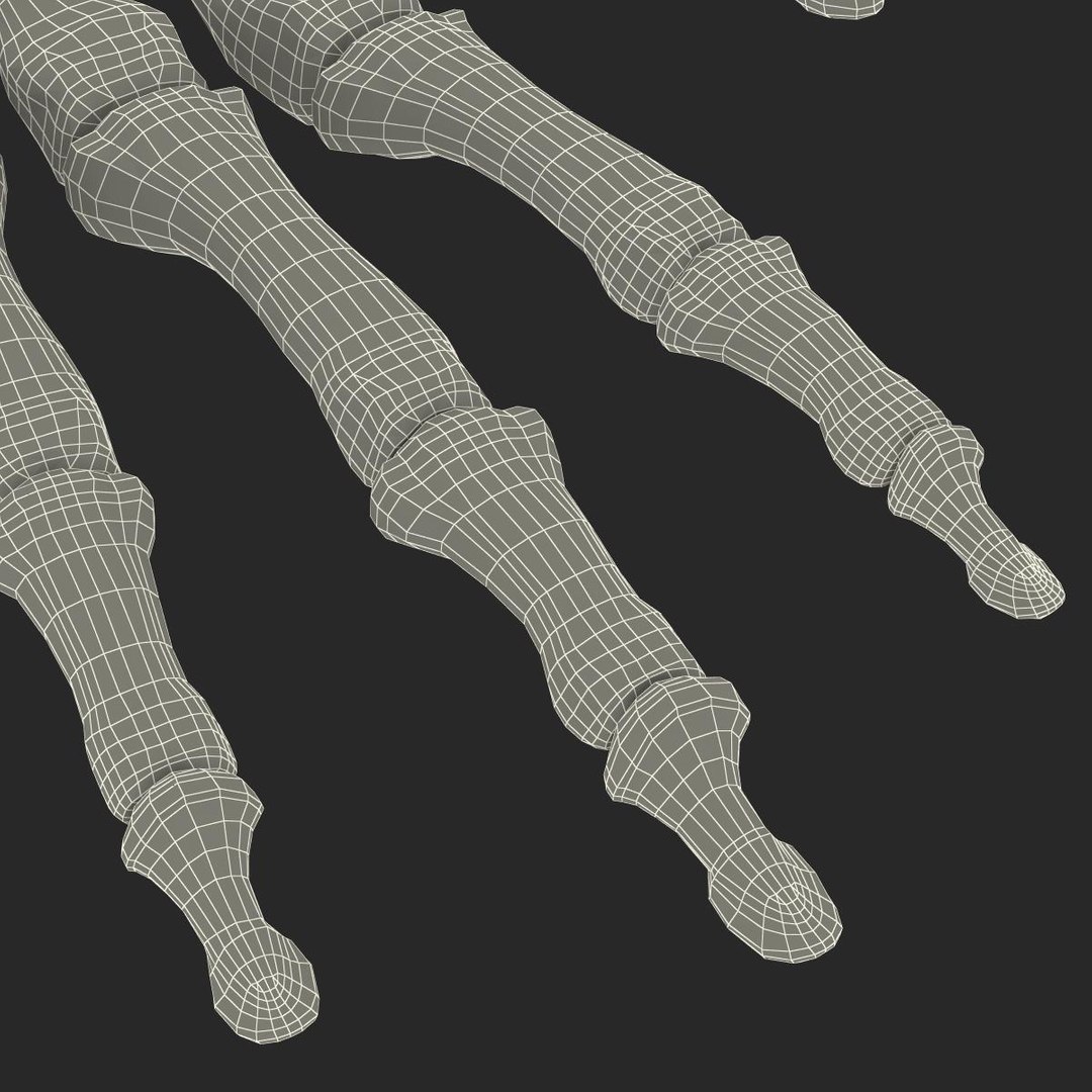 Skeleton Hand 3d 3ds