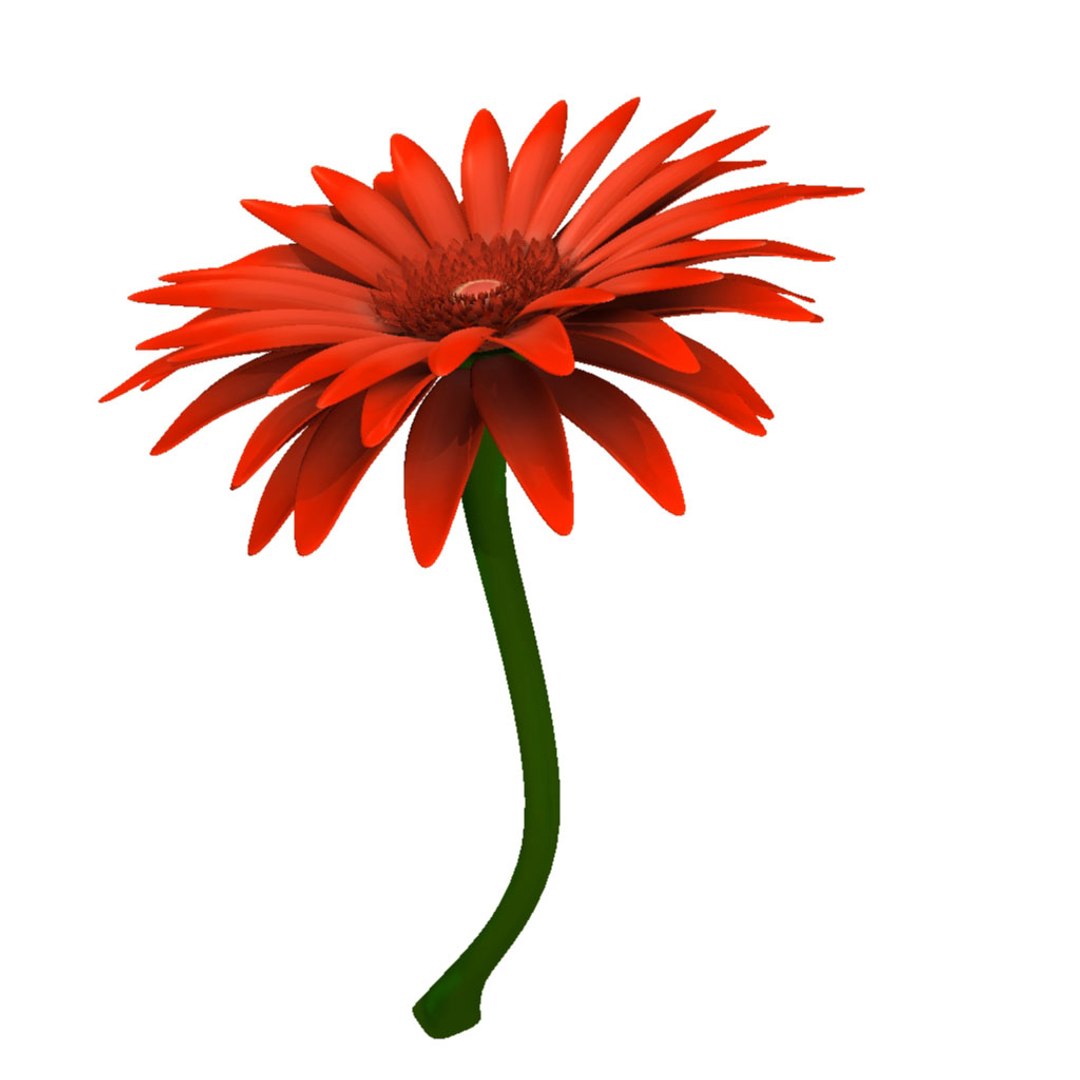 3d Gerbera Orange Model
