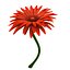 3d Gerbera Orange Model