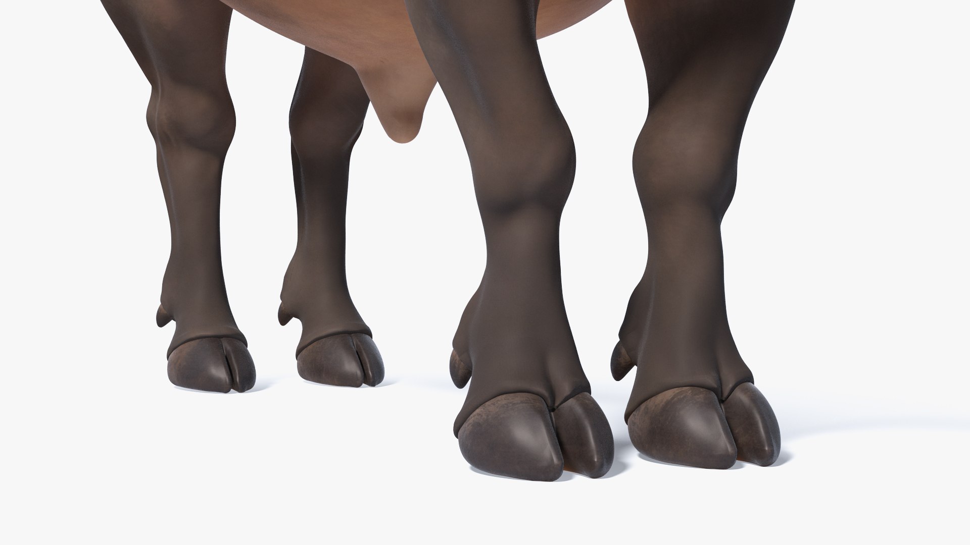 3D Cape Buffalo African Rigged Animal Model - TurboSquid 1569232