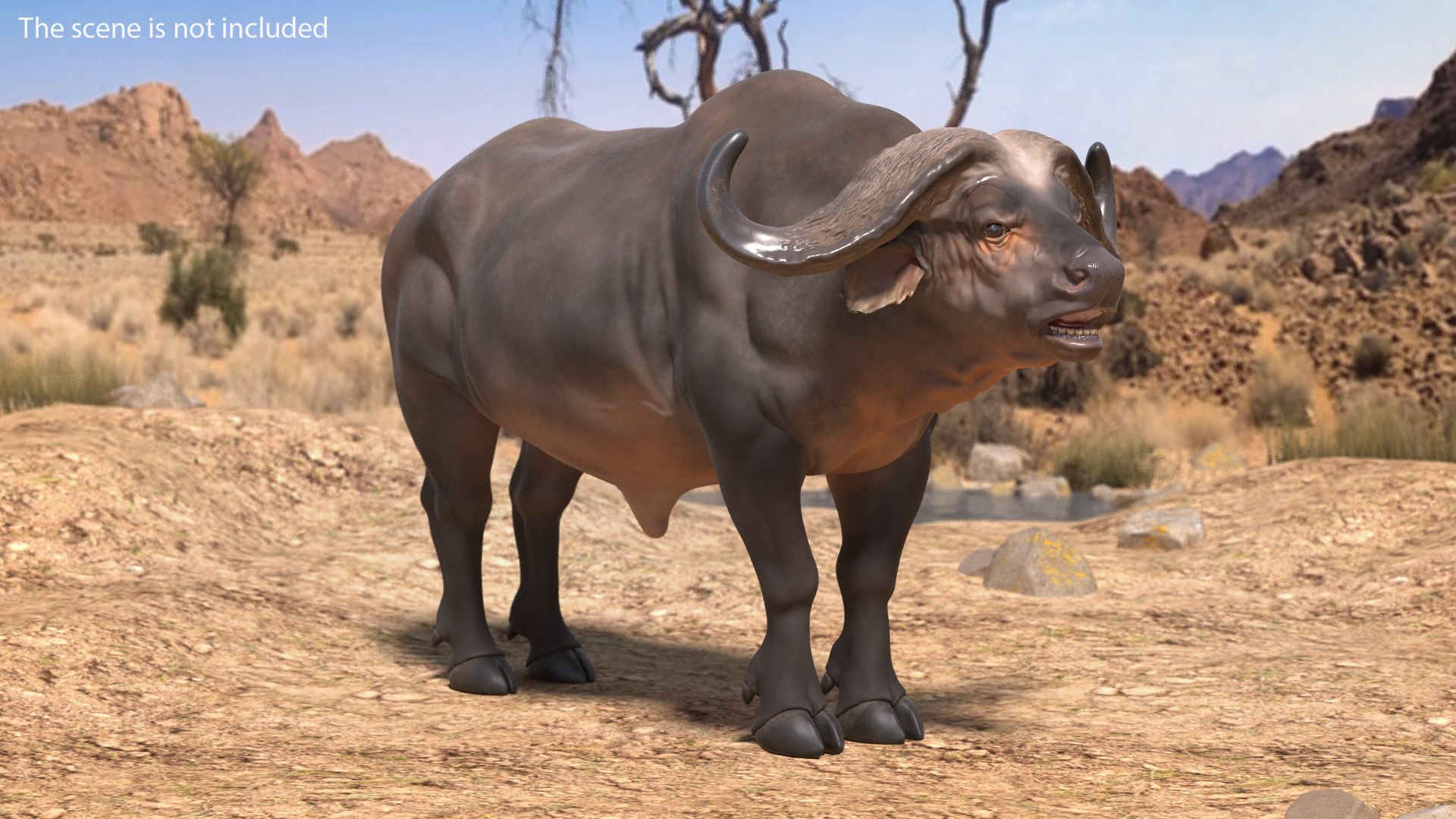3D cape buffalo african rigged animal model - TurboSquid 1569232