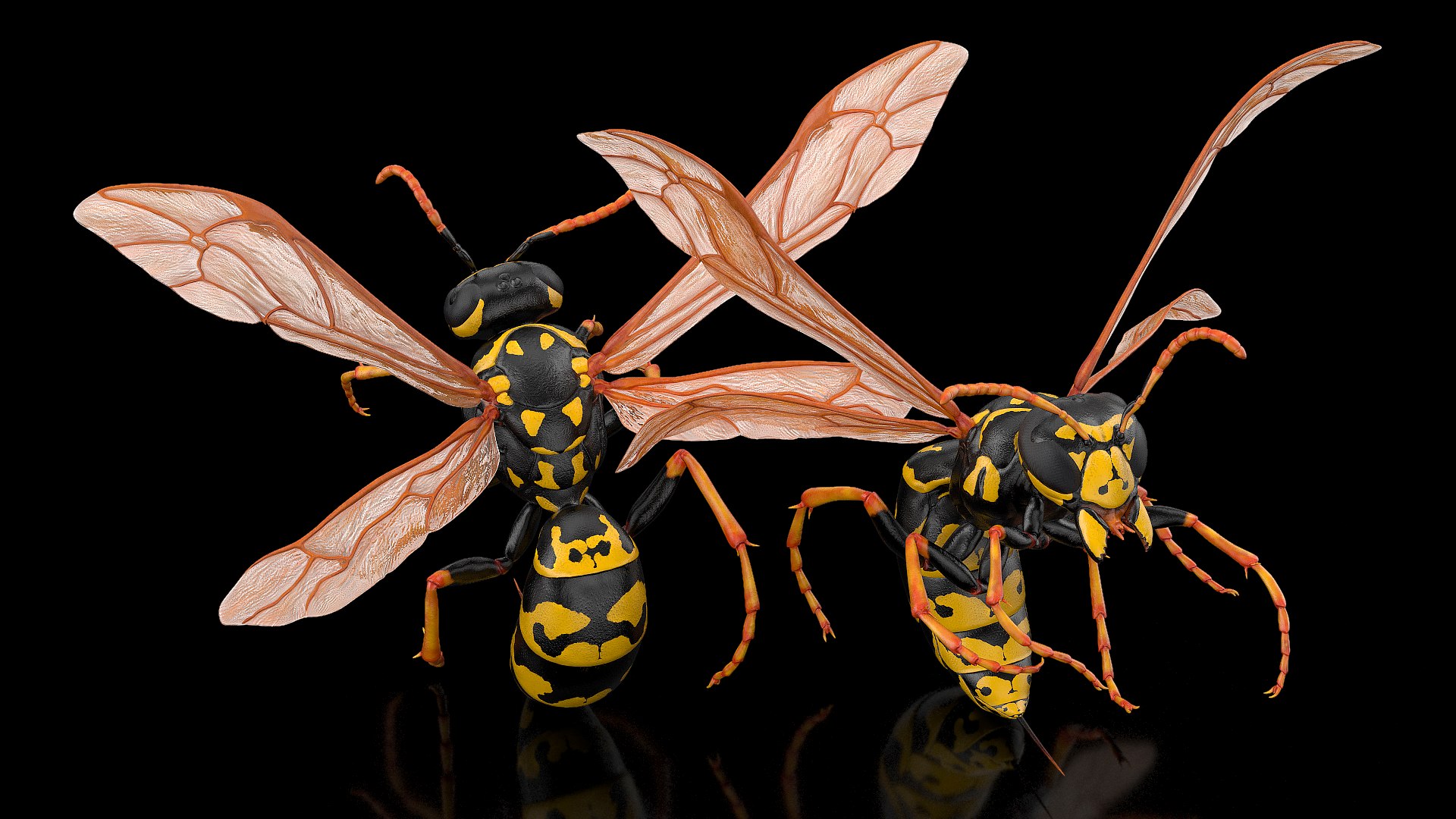 Wasp Attacking Pose 3D Model - TurboSquid 1625235